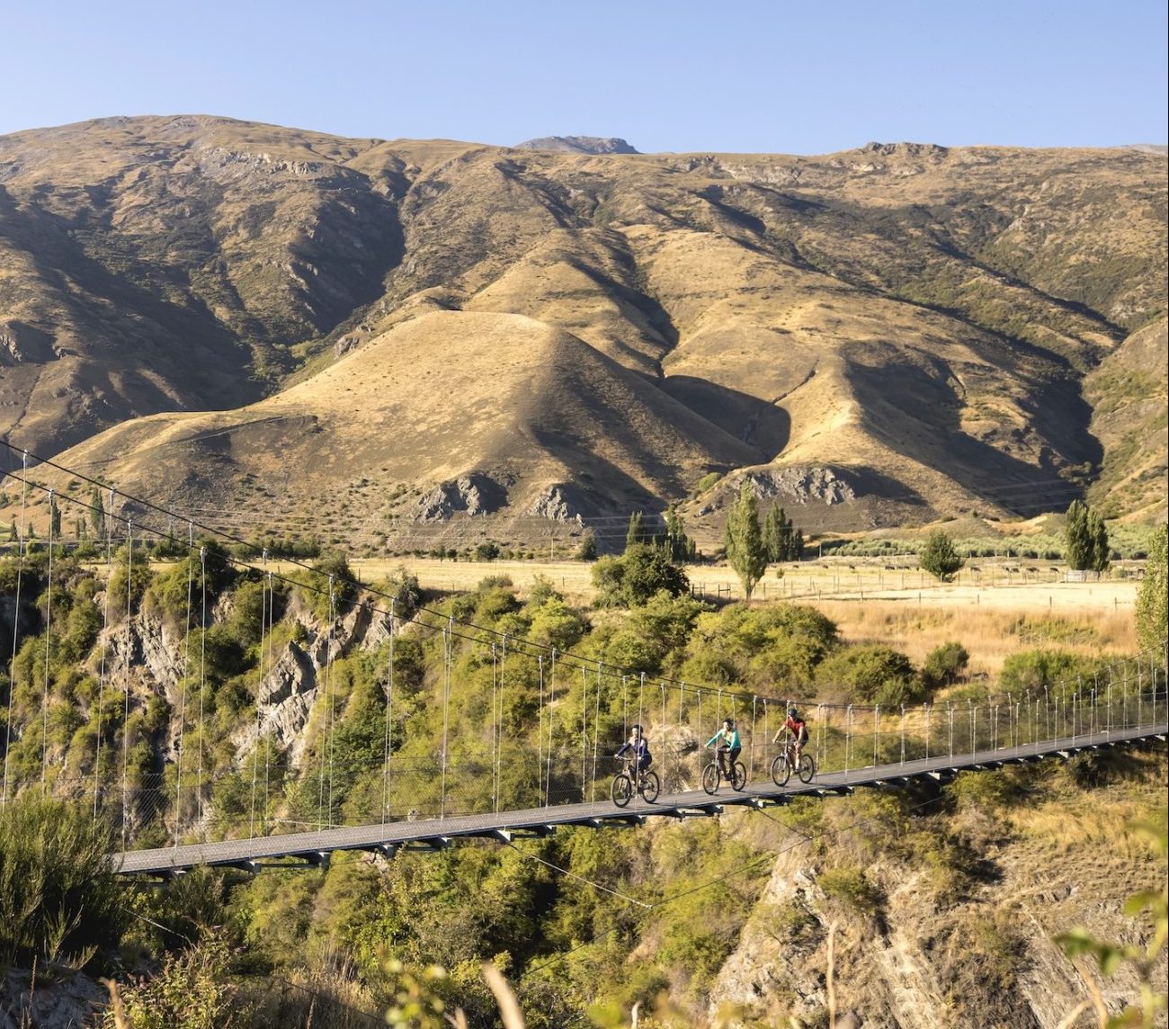 Pedalling Pinot | Indulge on Queenstown's Famous Wine Trail